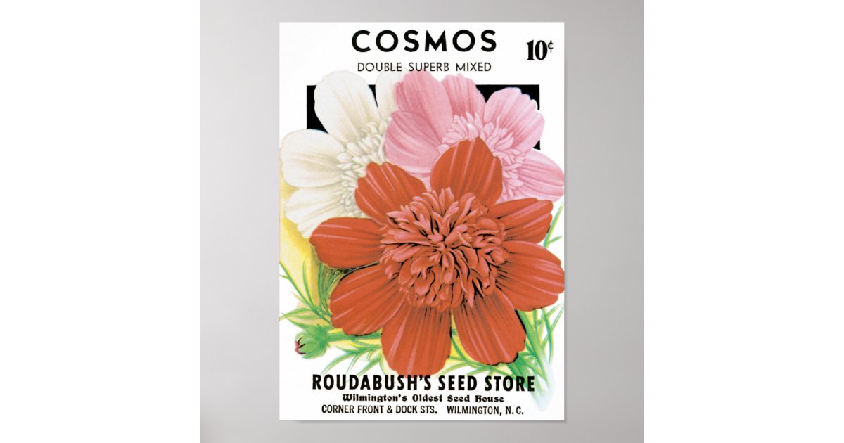 Vintage Seed Packet Art, Cosmos Garden Flowers Poster | Zazzle
