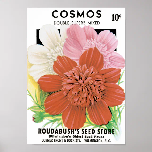 Vintage Seed Packet Art, Cosmos Garden Flowers Poster | Zazzle
