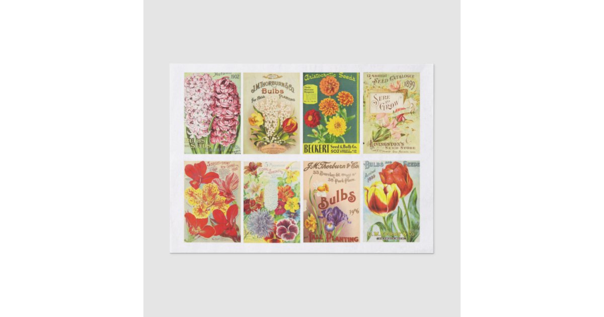 Vintage Seed Packet Collection Decoupage Collage Tissue Paper | Zazzle