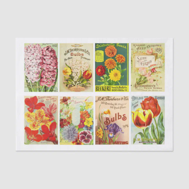 Vintage Seed Packet Collection Decoupage Collage Tissue Paper | Zazzle