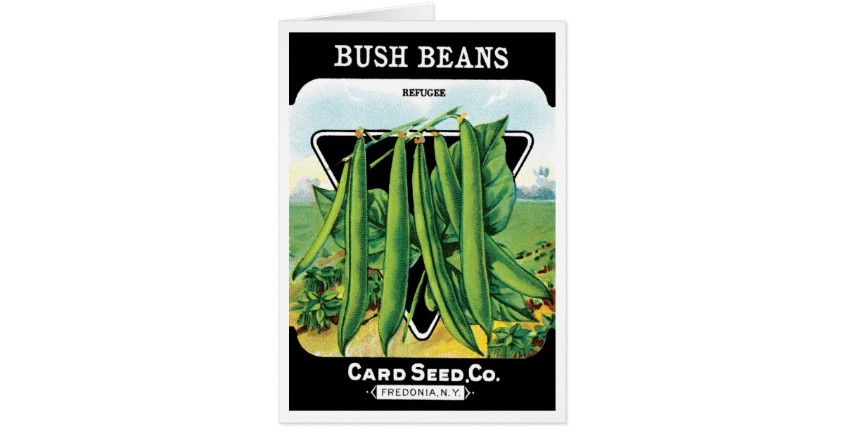 Vintage Seed Packet Label Art, Bush Bean Veggies | Zazzle