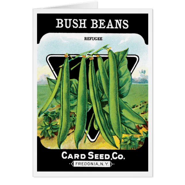 Vintage Seed Packet Label Art, Bush Bean Veggies | Zazzle