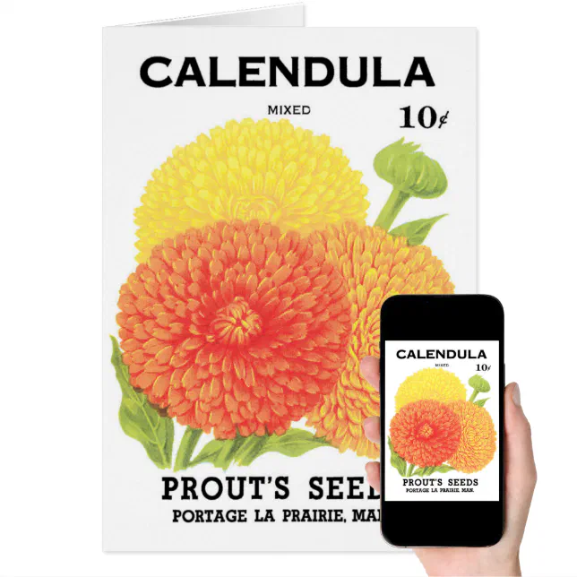 Vintage Seed Packet Label Art, Calendula Flowers | Zazzle
