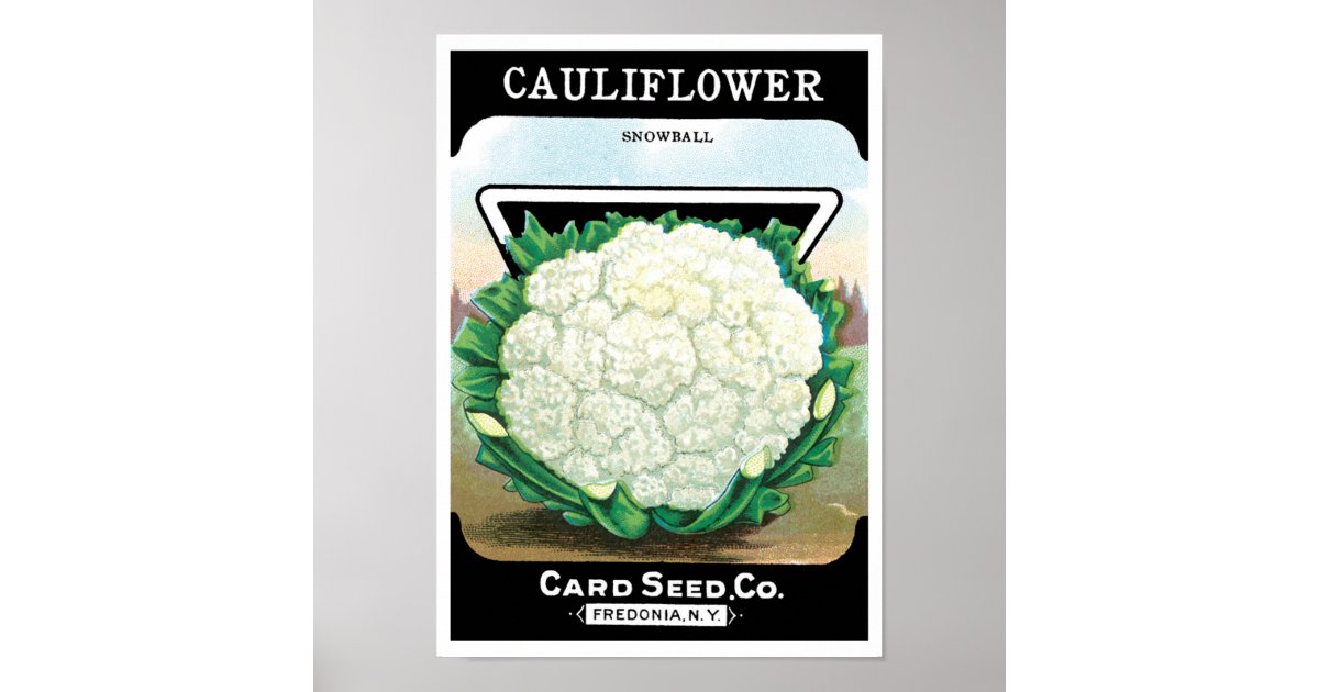 Vintage Seed Packet Label Art, Cauliflower Veggies Poster | Zazzle