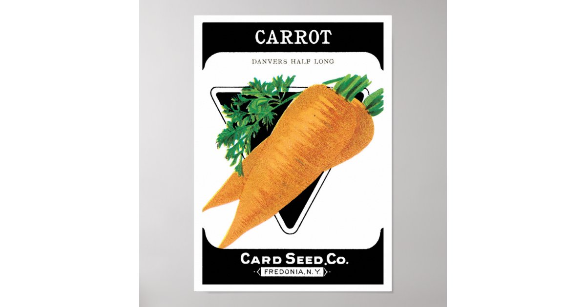 Vintage Seed Packet Label Art, Danvers Carrots Poster | Zazzle