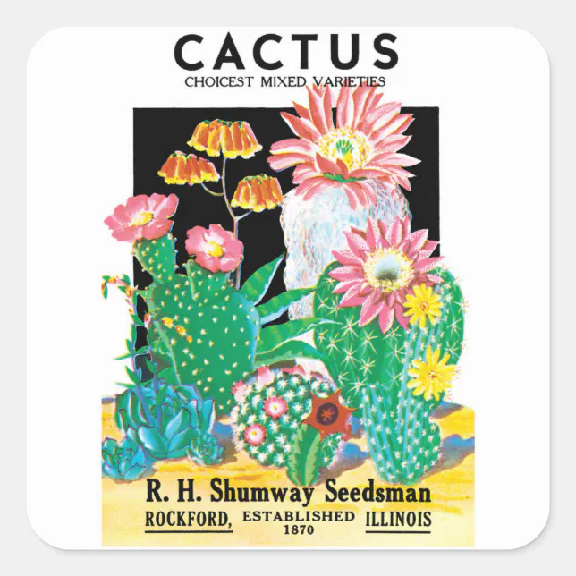 Vintage Seed Packet Label Art Desert Cactus Plants | Zazzle