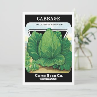 Vintage Seed Packet Label Art, Green Cabbage | Zazzle