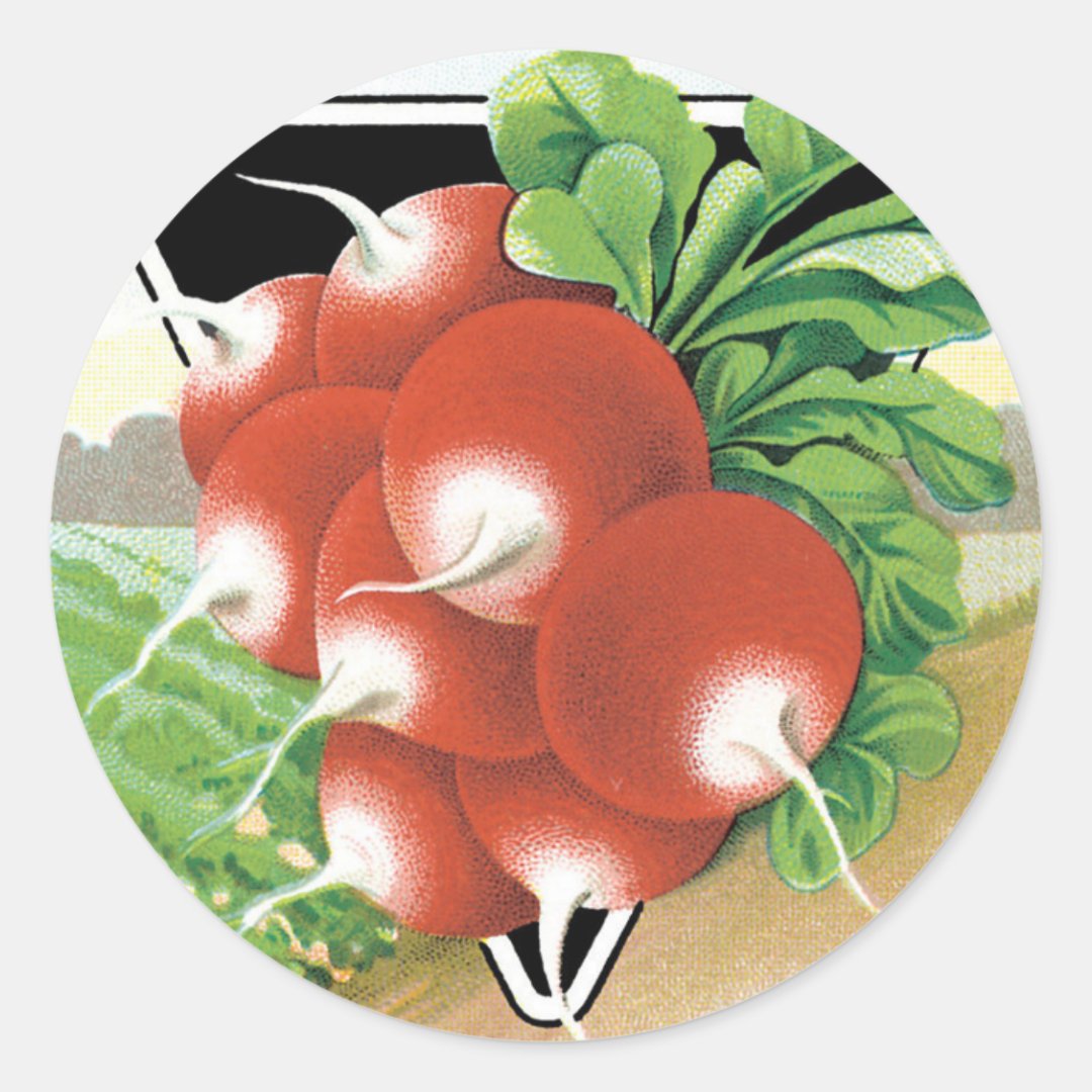 Vintage Seed Packet Label Art, Scarlet Radishes | Zazzle