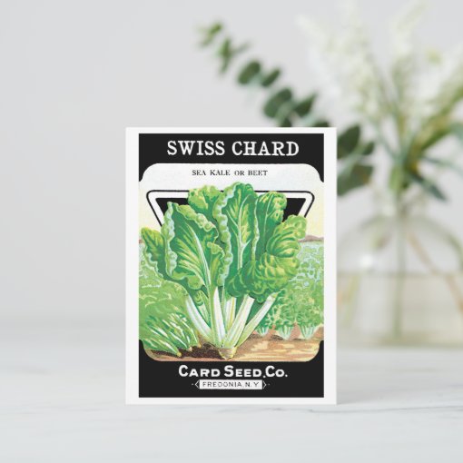 Vintage Seed Packet Label Art, Swiss Chard Veggies Postcard | Zazzle
