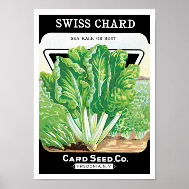 Vintage Seed Packet Label Art, Swiss Chard Veggies Poster | Zazzle