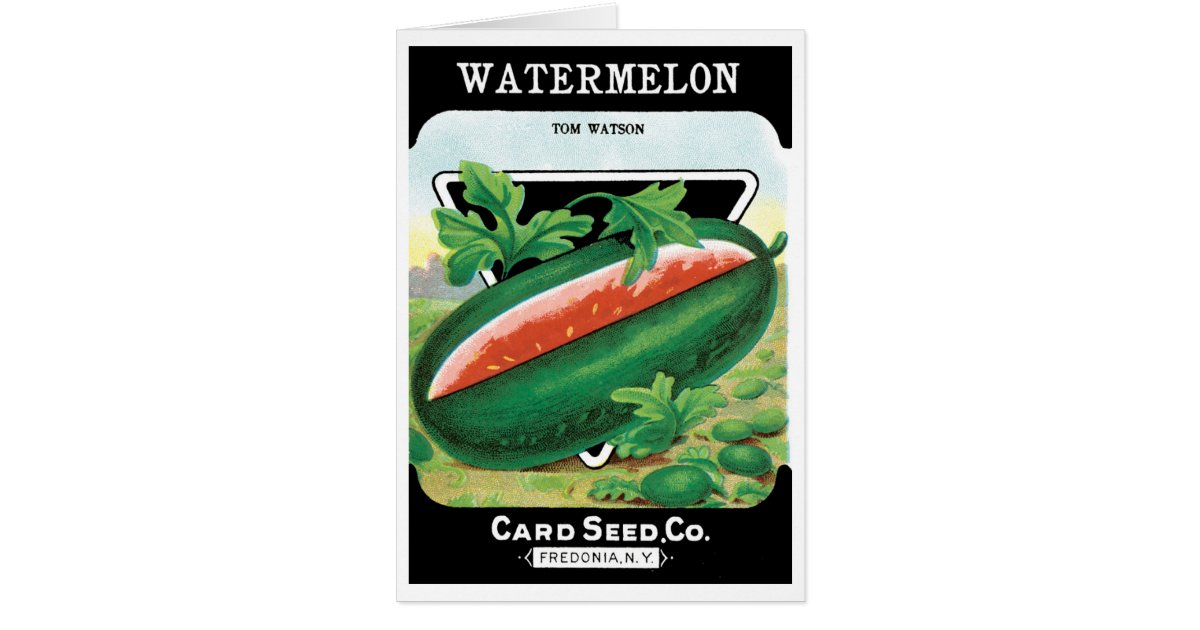 Vintage Seed Packet Label Art, Watermelons Fruit | Zazzle