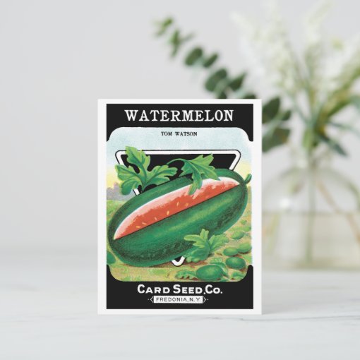 Vintage Seed Packet Label Art, Watermelons Fruit Postcard | Zazzle