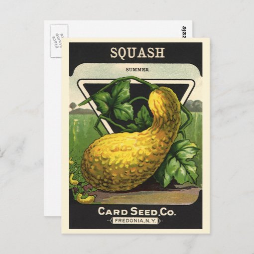 Vintage Seed Packet Label Art Yellow Summer Squash Postcard | Zazzle