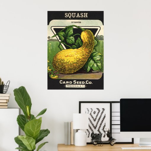 Vintage Seed Packet Label Art Yellow Summer Squash Poster | Zazzle