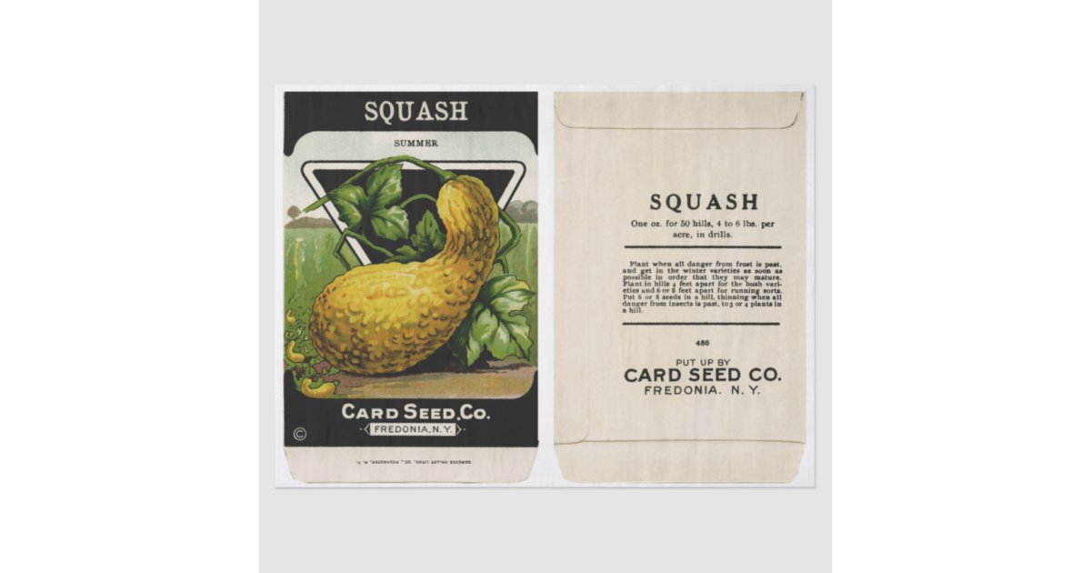 Vintage Seed Packet Summer Squash and Instructions Tissue Paper | Zazzle