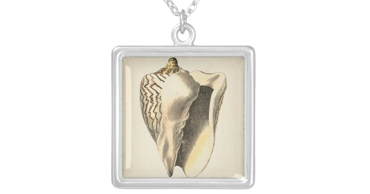Vintage Sepia Conch Shell Silver Plated Necklace | Zazzle
