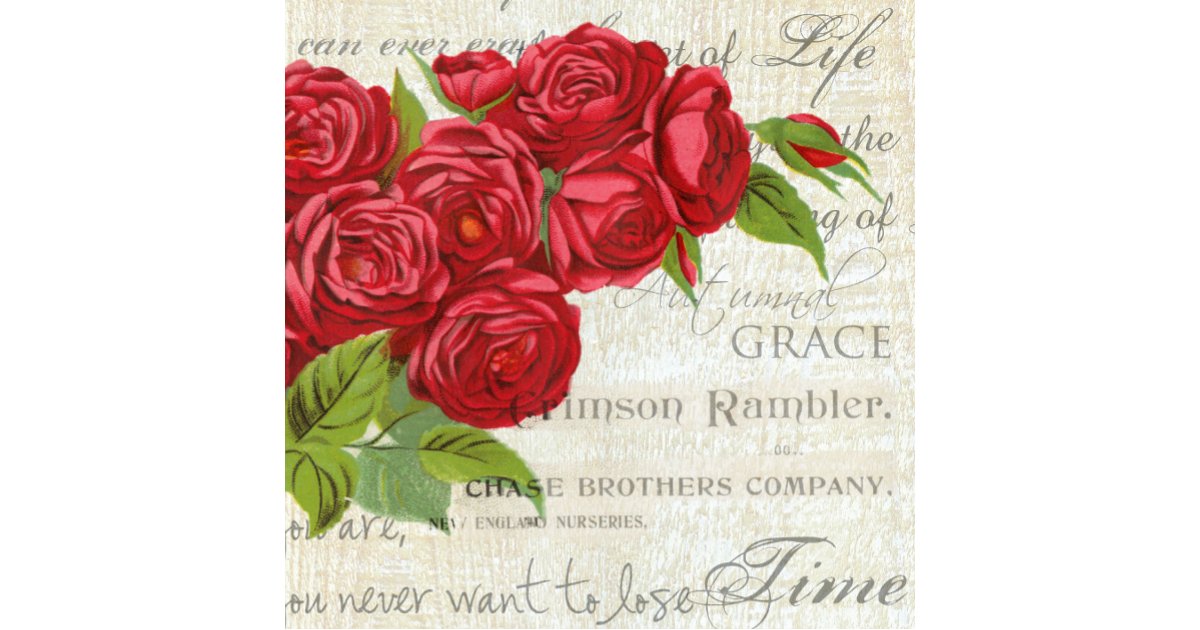 Vintage Shabby Chic Red Roses Antique Script Ceramic Knob | Zazzle