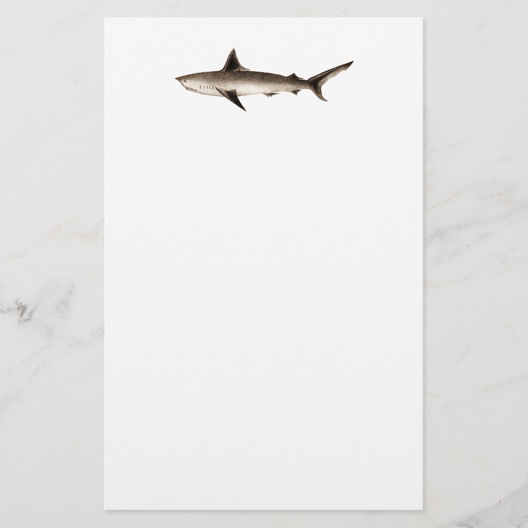 Vintage Shark Illustration - Retro Sharks Template Stationery | Zazzle