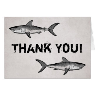 Shark Thank You Cards | Zazzle