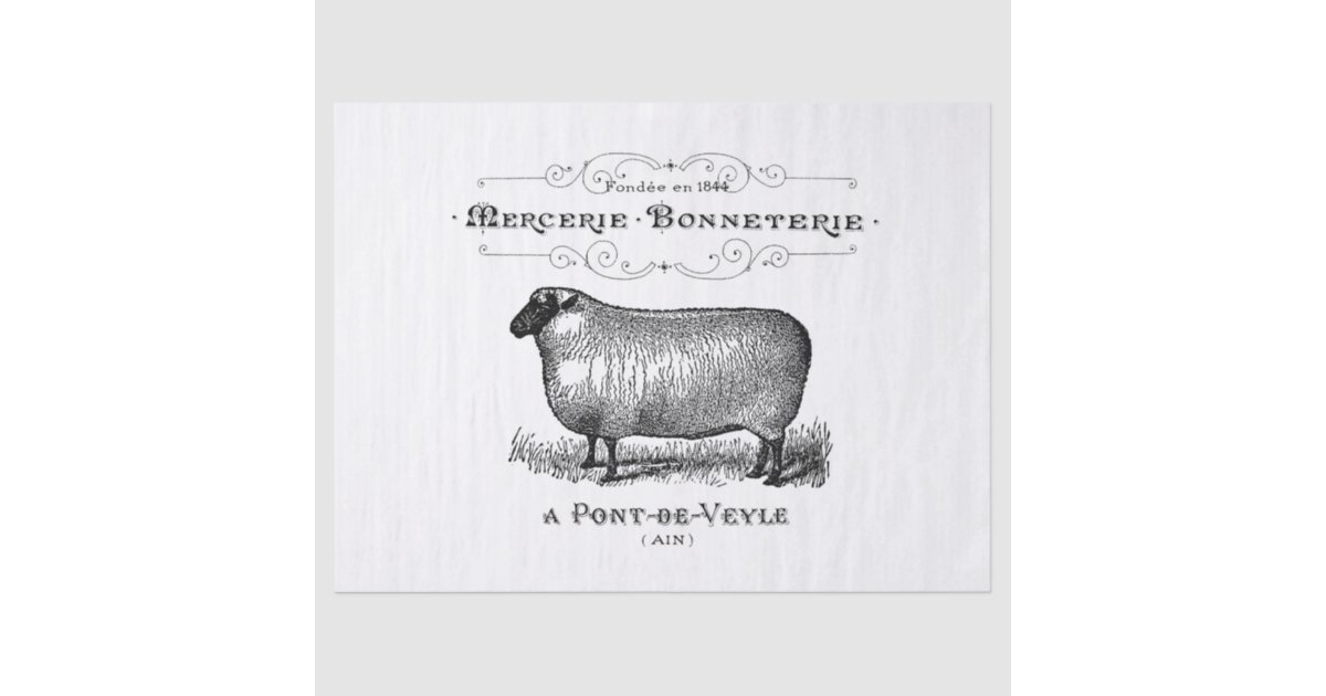 Vintage Sheep Ad Tissue Tissue Paper | Zazzle