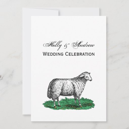 Vintage Sheep Ewe Farm Animals Drawing C Invitation | Zazzle