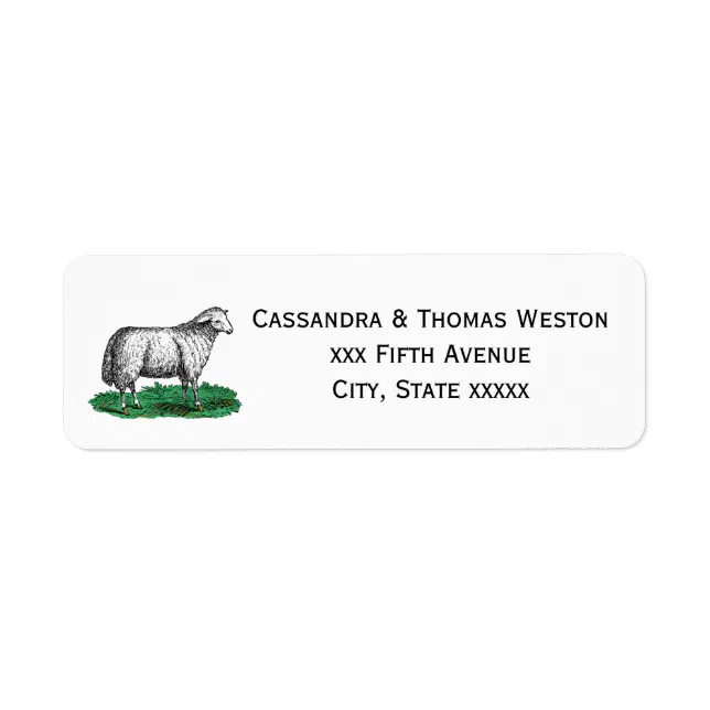 Vintage Sheep Ewe Farm Animals Drawing C Label | Zazzle