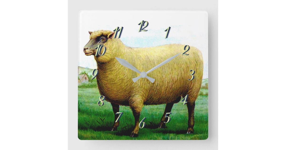 Vintage sheep painting square wall clock | Zazzle