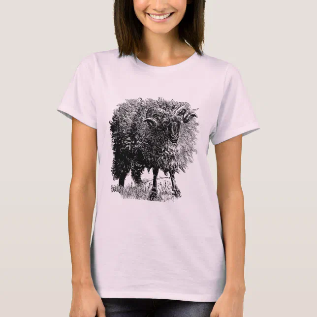 Vintage Sheep T-Shirt | Zazzle