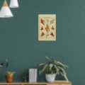Vintage Shells Poster | Zazzle