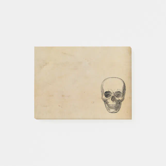Vintage Simple Human Skull Illustration Post-it Notes | Zazzle