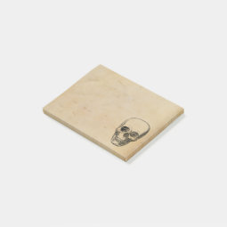 Vintage Simple Human Skull Illustration Post-it Notes | Zazzle