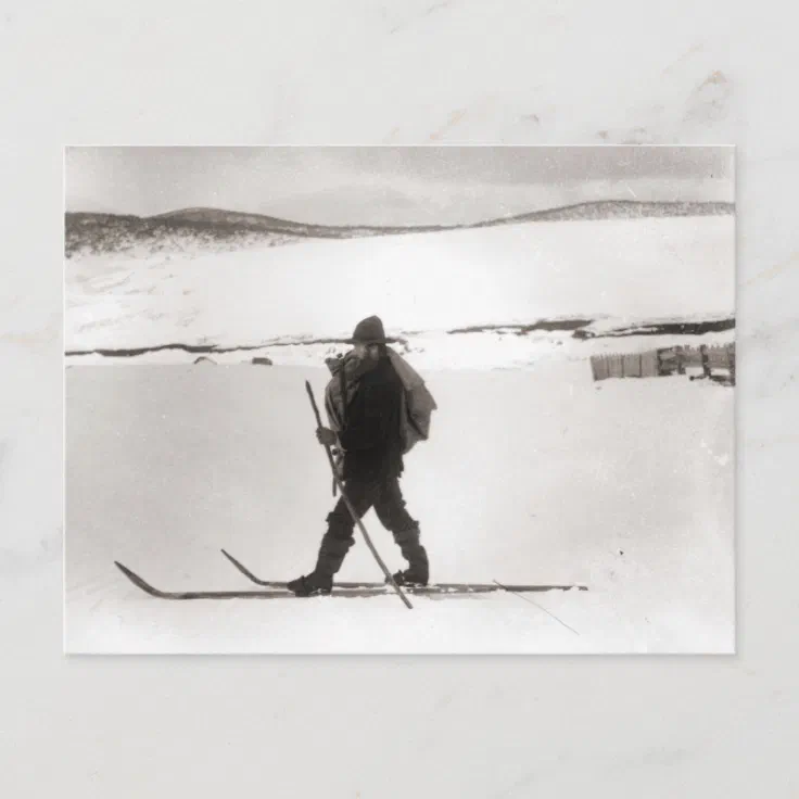 Vintage ski image, Cross country skiing Postcard | Zazzle