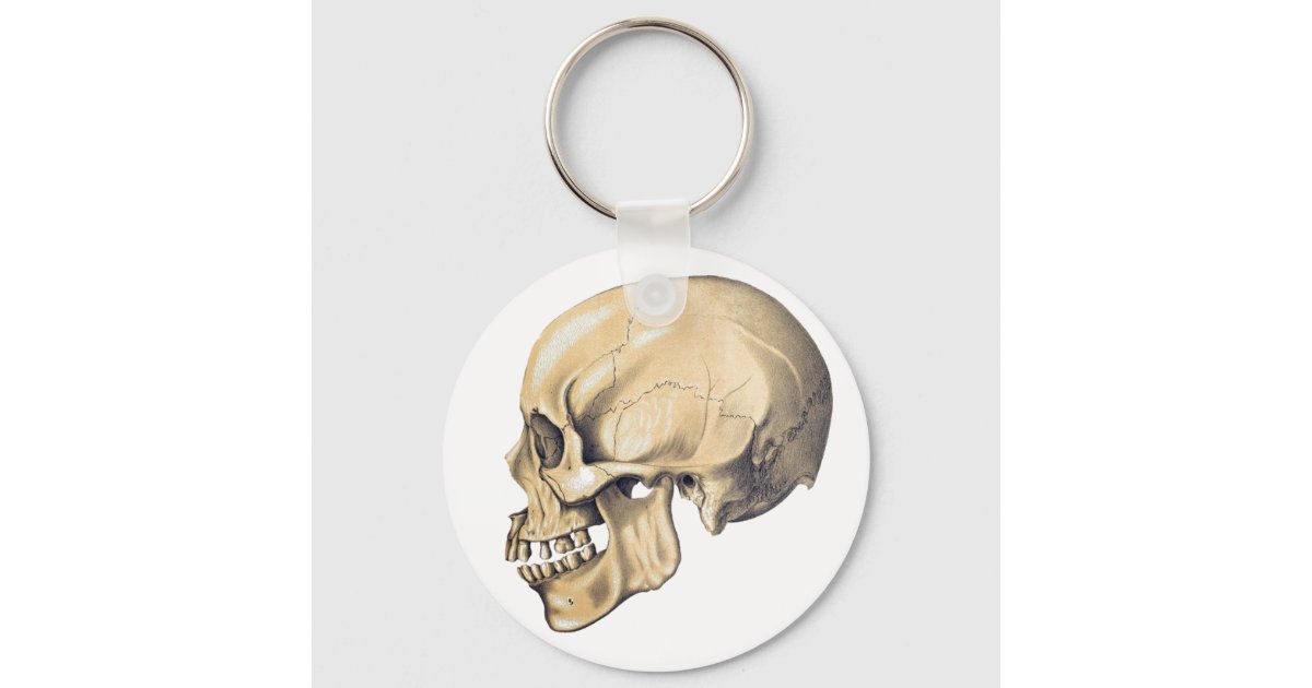 Vintage Skull Anatomy Illustration Keychain | Zazzle