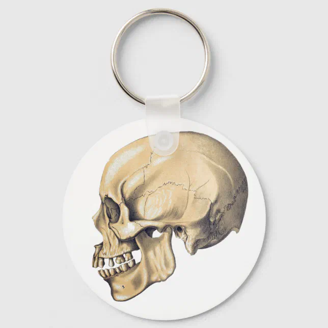 Vintage Skull Anatomy Illustration Keychain | Zazzle
