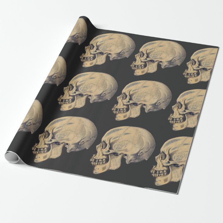 Vintage Skull Anatomy Illustration Wrapping Paper | Zazzle
