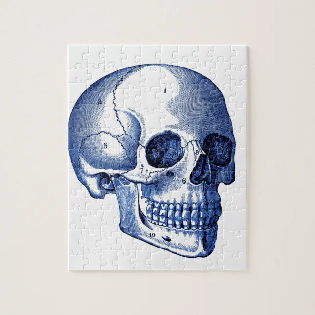 Vintage Skull Anatomy Jigsaw Puzzle | Zazzle