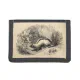 Vintage Skunk 1800s Skunks Illustration Template Trifold Wallet | Zazzle