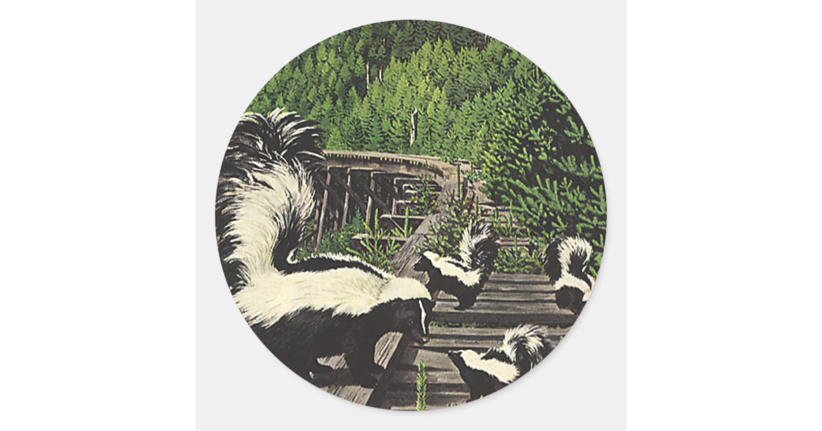 Vintage Skunks, Wild Animals and Forest Creatures Classic Round Sticker ...