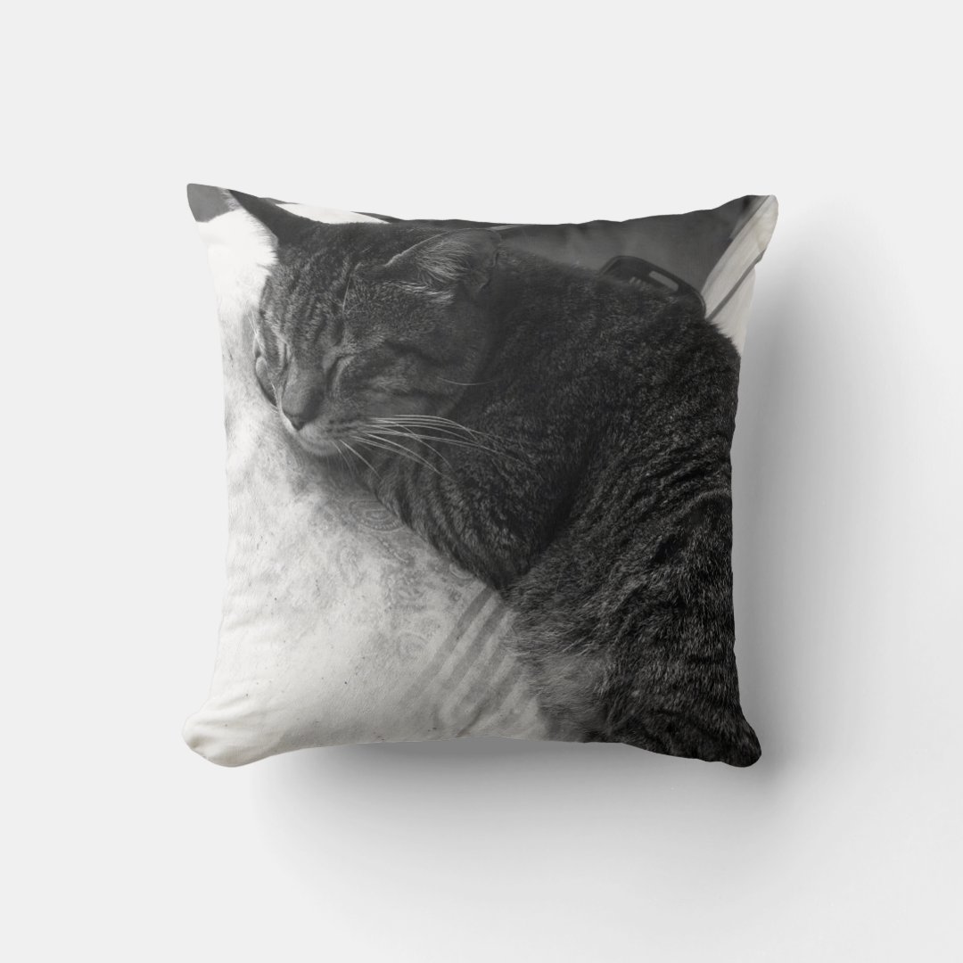Vintage Sleeping Cat Photo | Throw Pillow | Zazzle