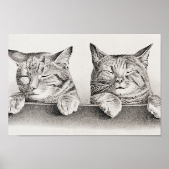 Vintage Sleeping Cats Lithograph, 1874 Sketch Poster | Zazzle.com