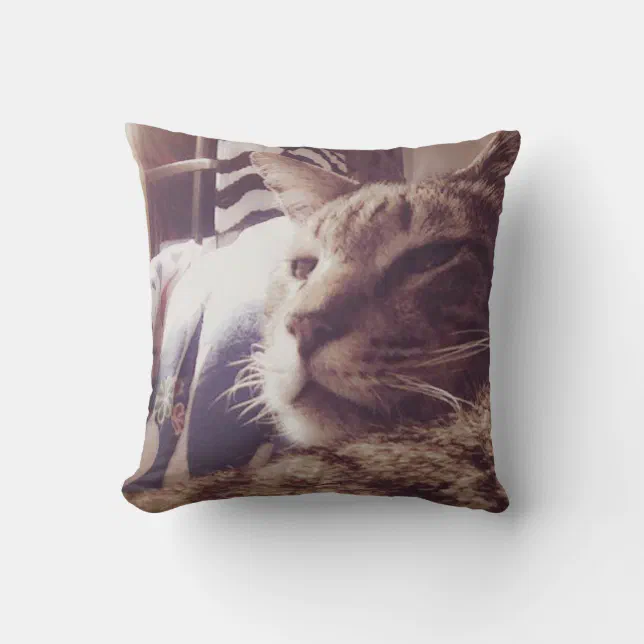 Vintage Sleepy Cat Photo | Throw Pillow | Zazzle