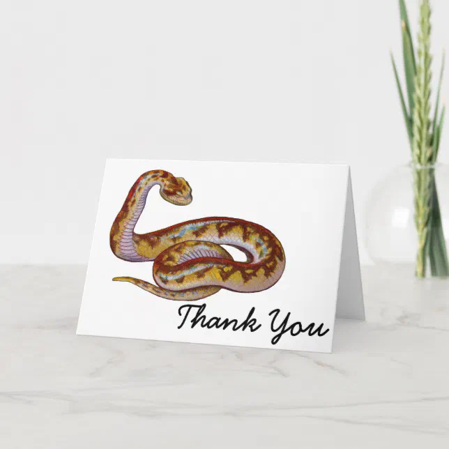 Vintage Snake Illustration Thank You Card | Zazzle