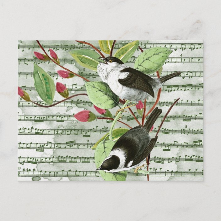 Vintage Songbirds on Sheet Music Postcard | Zazzle.com