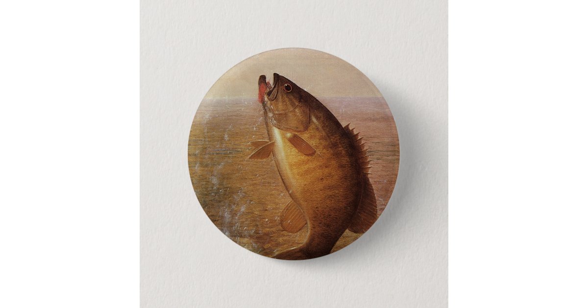 Vintage Sports Fishing, Largemouth Brown Bass Fish Pinback Button | Zazzle