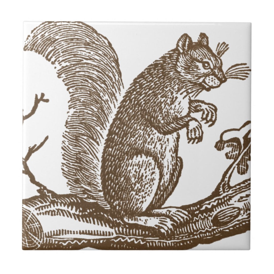 Vintage Squirrel Ceramic Tile | Zazzle
