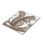 Vintage Squirrel Ceramic Tile | Zazzle