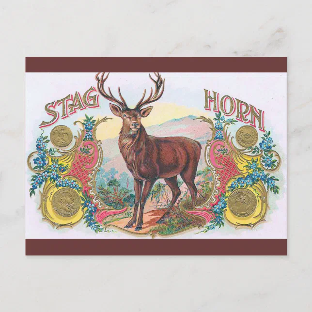 Vintage Stag Postcard | Zazzle