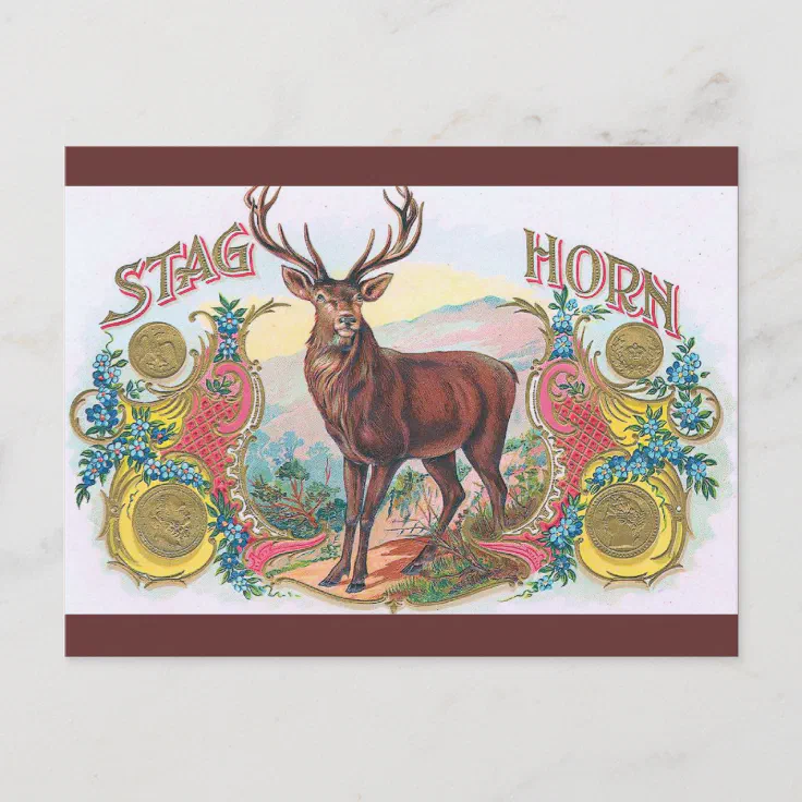 Vintage Stag Postcard | Zazzle