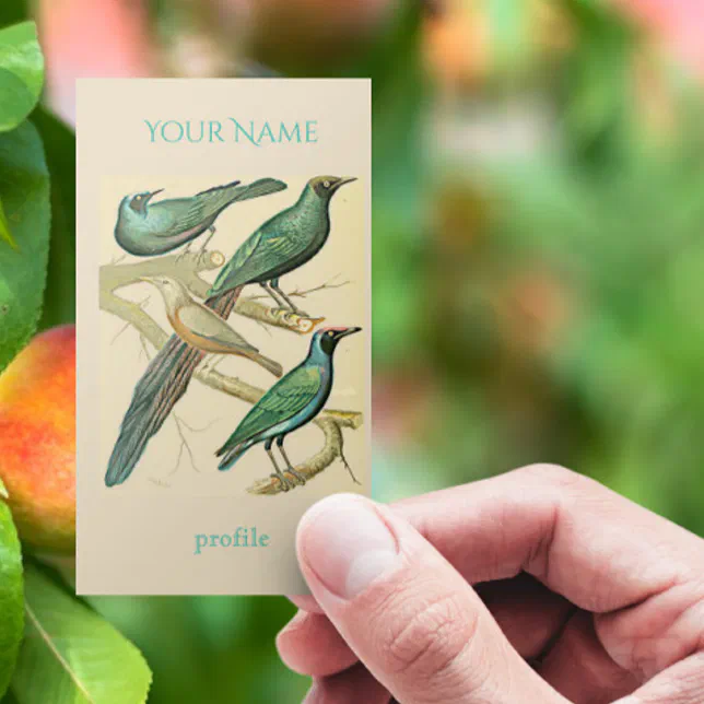 vintage starlings and mynah birds business card | Zazzle