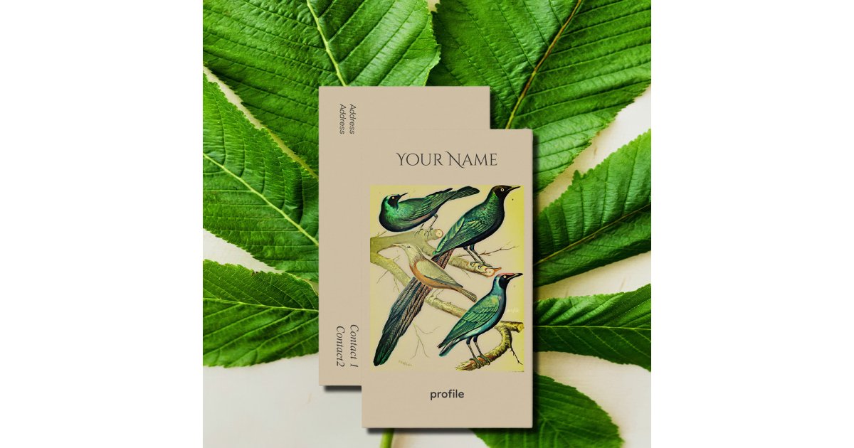 vintage starlings and mynah birds Kraft Business Card | Zazzle